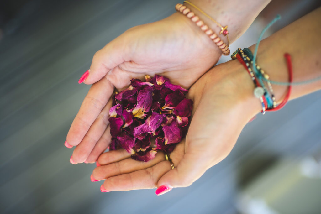 The Art Of Collecting And Using Rose Petals At Gentry Homestead ...